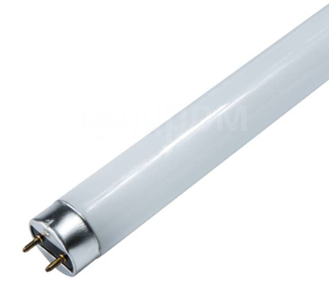 FL20SD/18 FL20SSW/18 Hitachi FL20D/18 580мм лампа люминесцентная, новый, в наличии. Цена: 140 ...