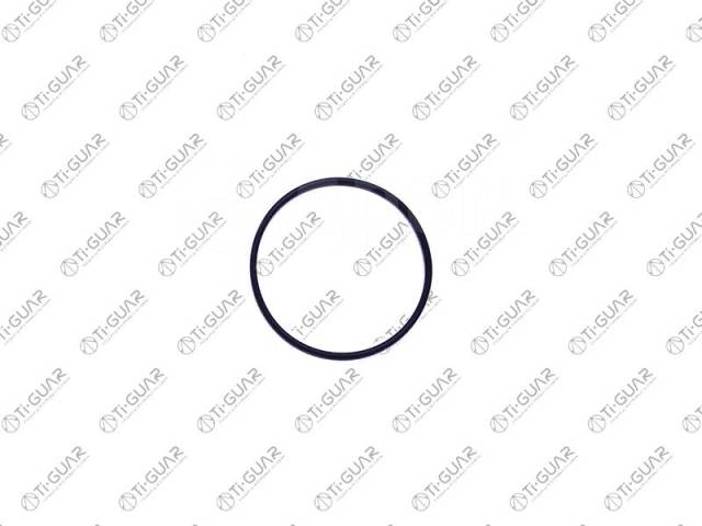 Купить Кольцо уплотнительное TG-RS005/07119903596 Ti•GUAR Ti-Guar TG ...