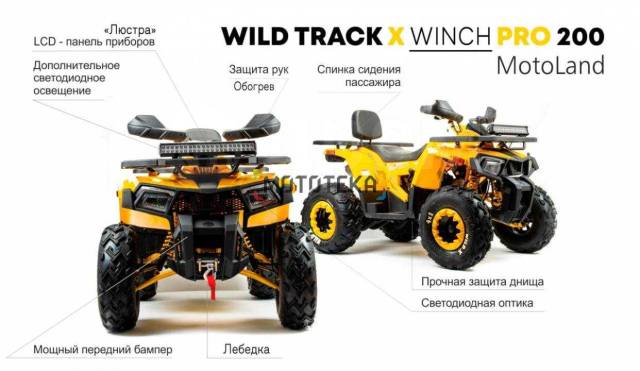 Квадроцикл подростковый MotoLand (Мотолэнд) 200 WILD Track X Winch PRO ...