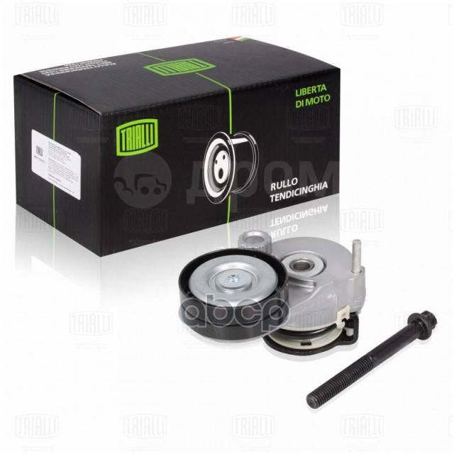 Купить Ролик Приводного Ремня Chevrolet Aveo 06-, Cruze 09-; Opel Astra G, H, J 96- С ...