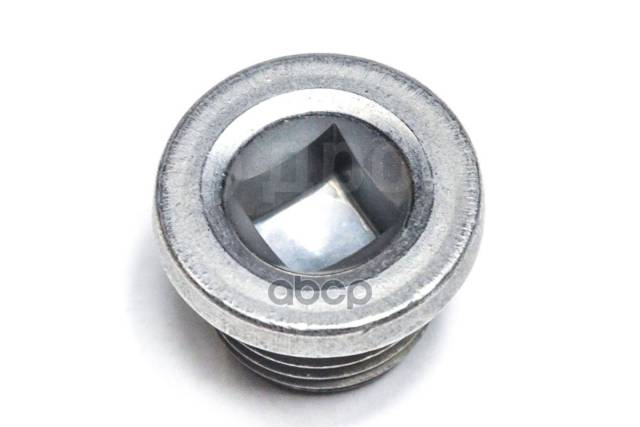 Купить Резьбовая Пробка, Маслянный Поддон Renault арт. 7703075347 в ...