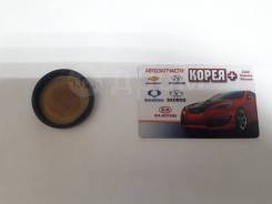 Купить Заглушка головки блока 10 Hyundai / KIA 2232735504 в ...