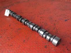 Запчасть 504004779 - Купить распредвал в Москве! Цены. Фото автозапчастей