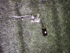 Запчасть 8949126170 - Купить датчик уровня масла в Уссурийске! Цены ...